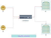 L4 – L7 Load Balancing – NetwerkLABS
